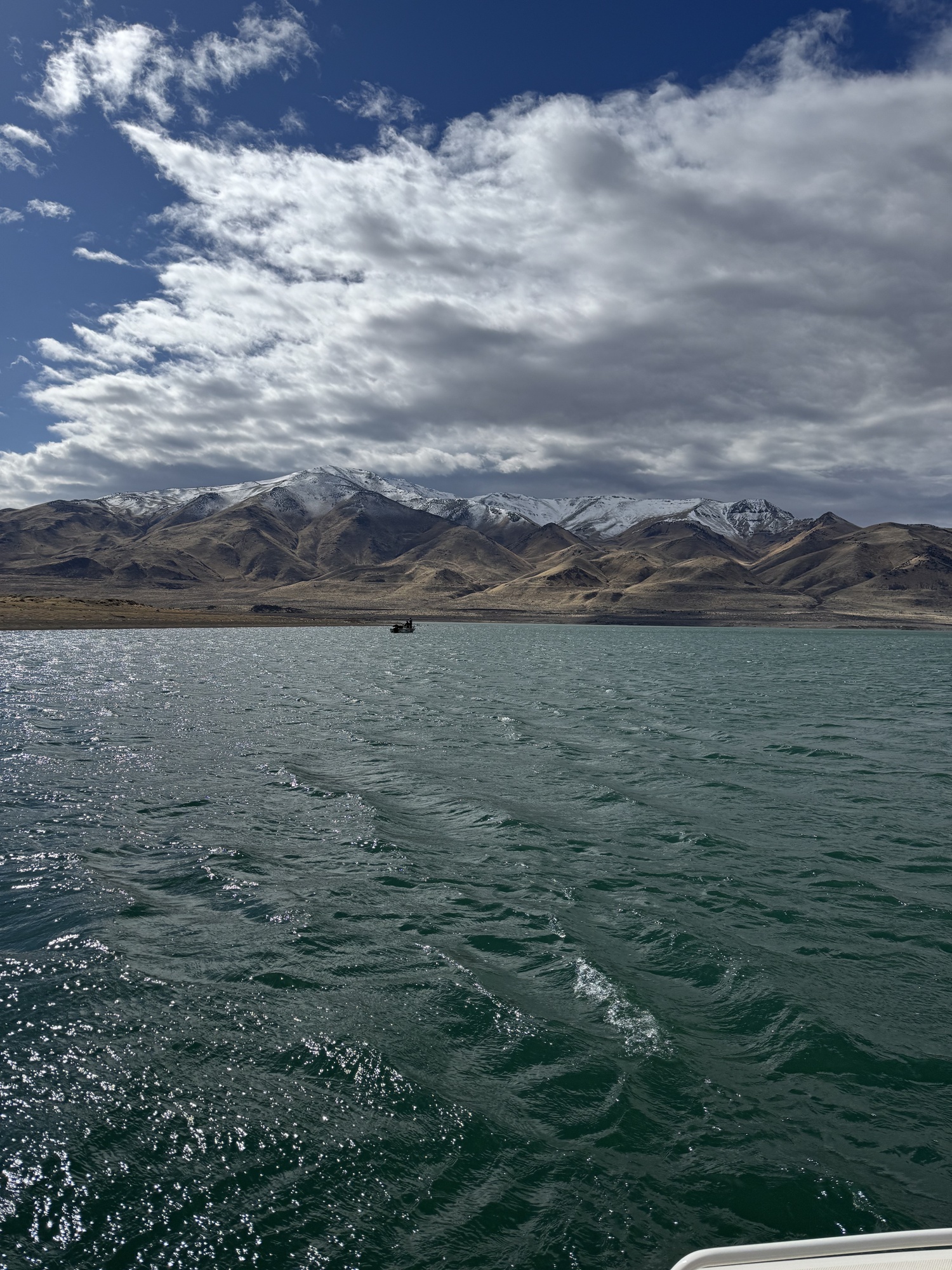 Pyramid Lake Fly Fishing in February | Winter Trophy Trout